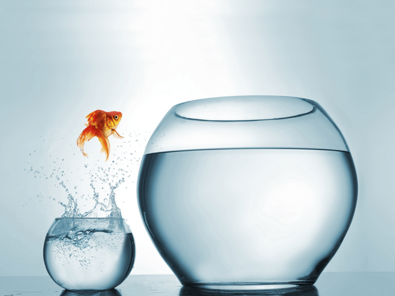We're making the leap!